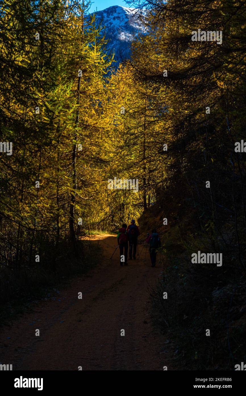 The treasures of the Varaita Valley: the small village of Bellino ...