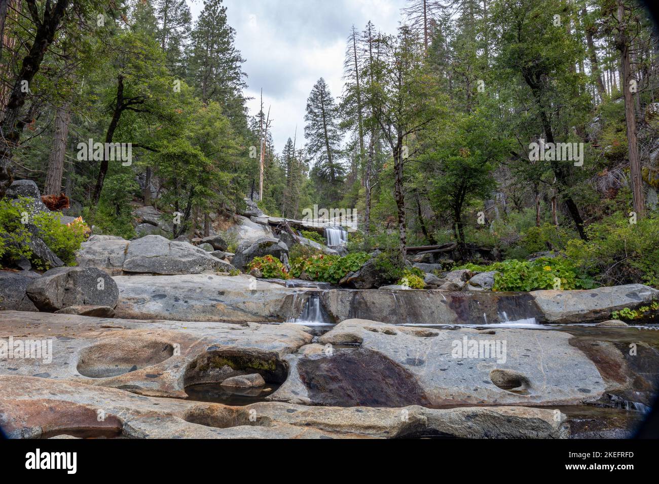 Hiking via the Carlon falls trail (Groveland), to the waterfall, a ...