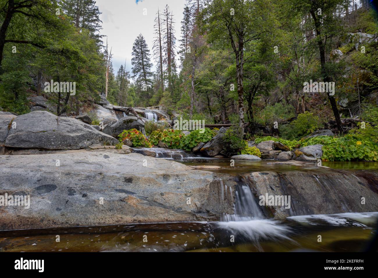 Hiking via the Carlon falls trail (Groveland), to the waterfall, a ...
