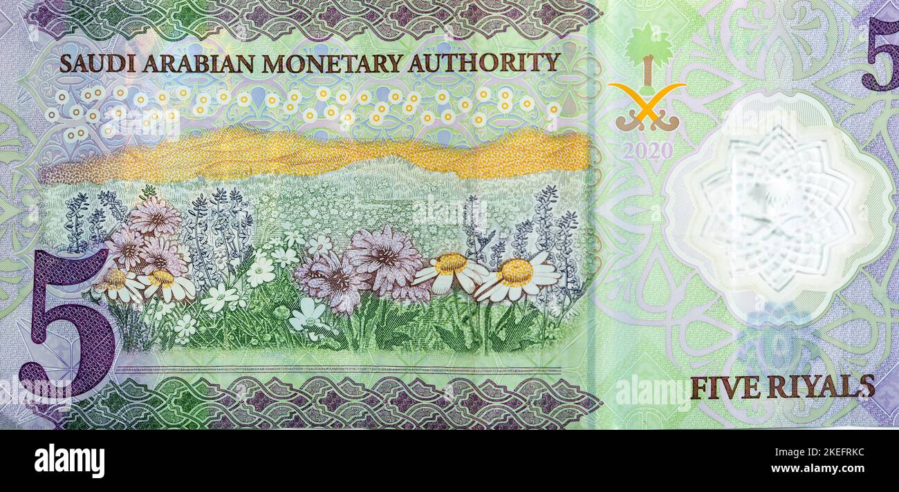 Large fragment of the reverse side of the new polymer 5 SAR five Saudi ...