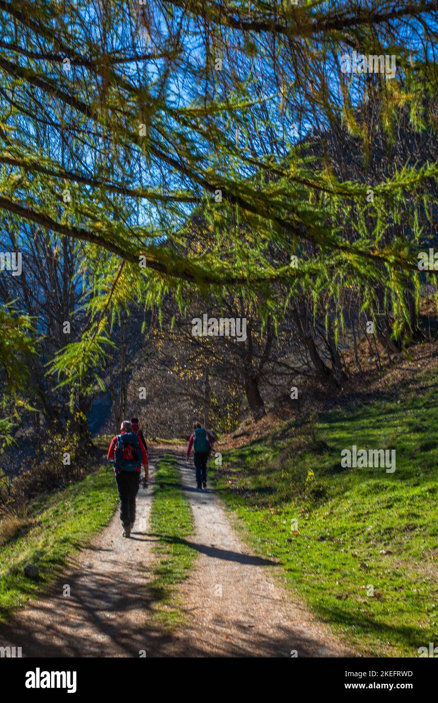 The treasures of the Varaita Valley: the small village of Bellino ...