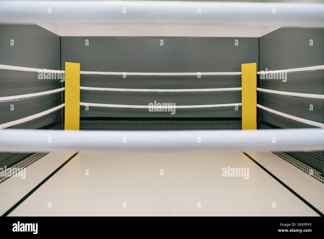 Empty boxing ring in the gym with no people Stock Photo - Alamy