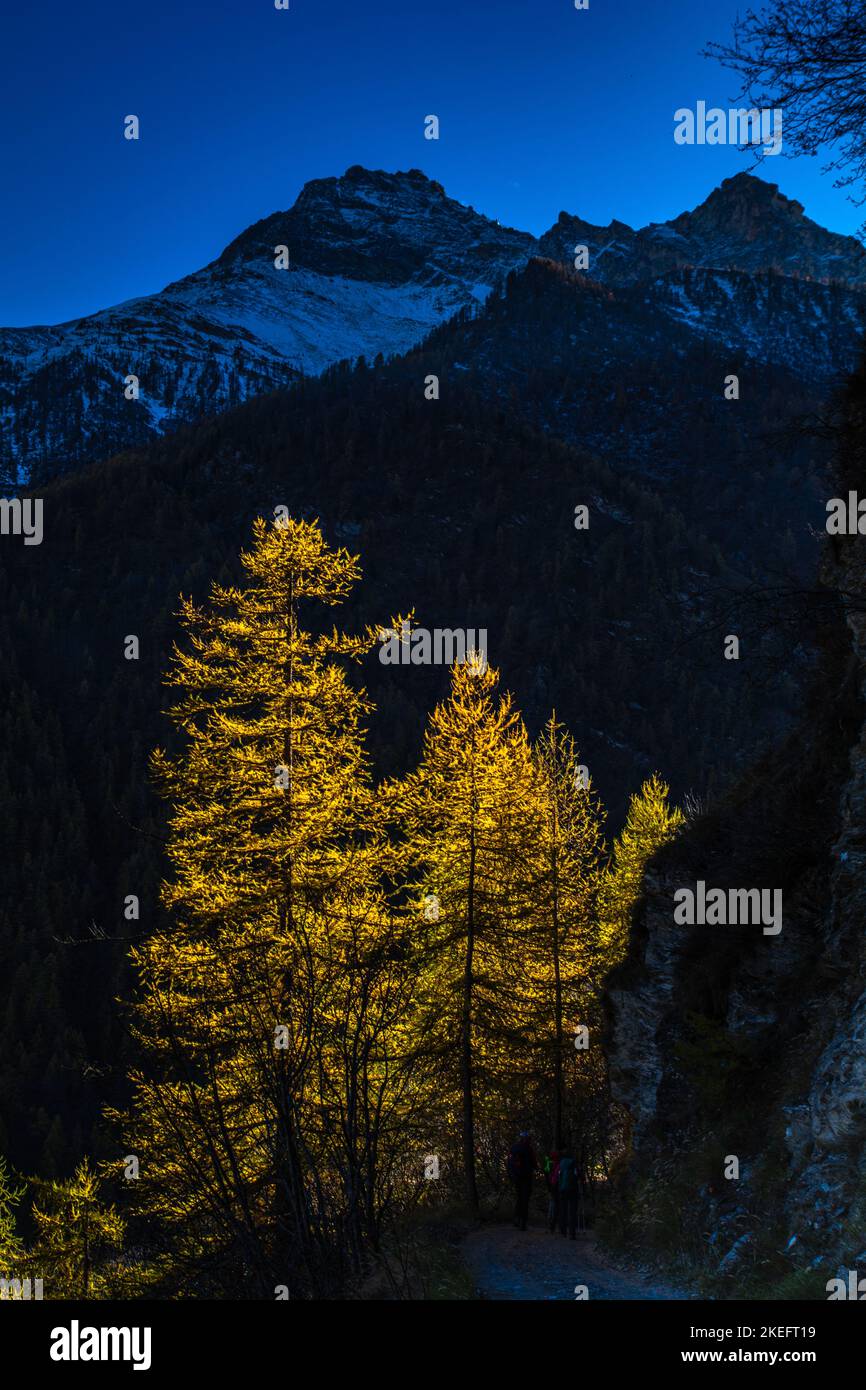 The treasures of the Varaita Valley: the small village of Bellino ...