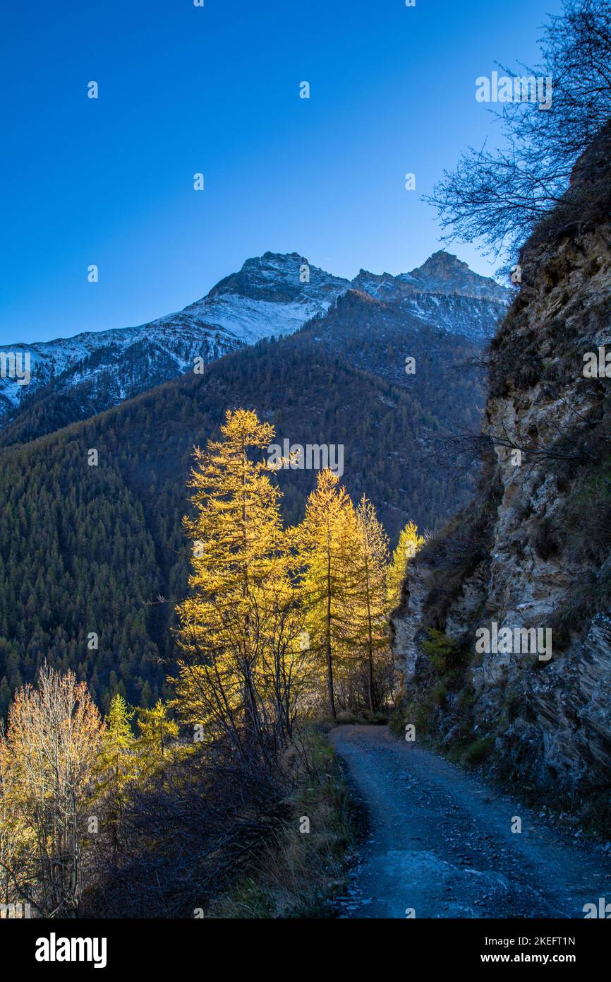 The treasures of the Varaita Valley: the small village of Bellino ...