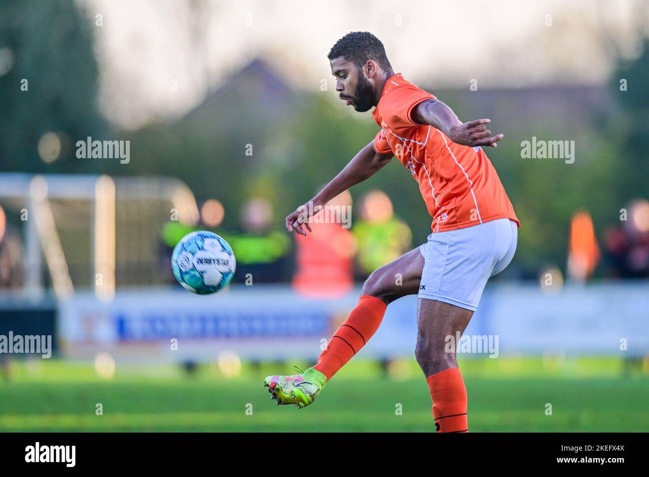 TIEL, 12-11-2022, Sportpark de Lok, Jack's League Dutch Tweede Divisie ...