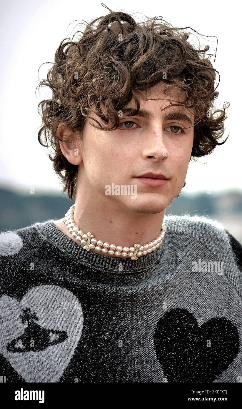 Rome, Italy. 12th Nov, 2022. Timothée Chalamet attends the "Bones And All" photocall at Hotel De ...