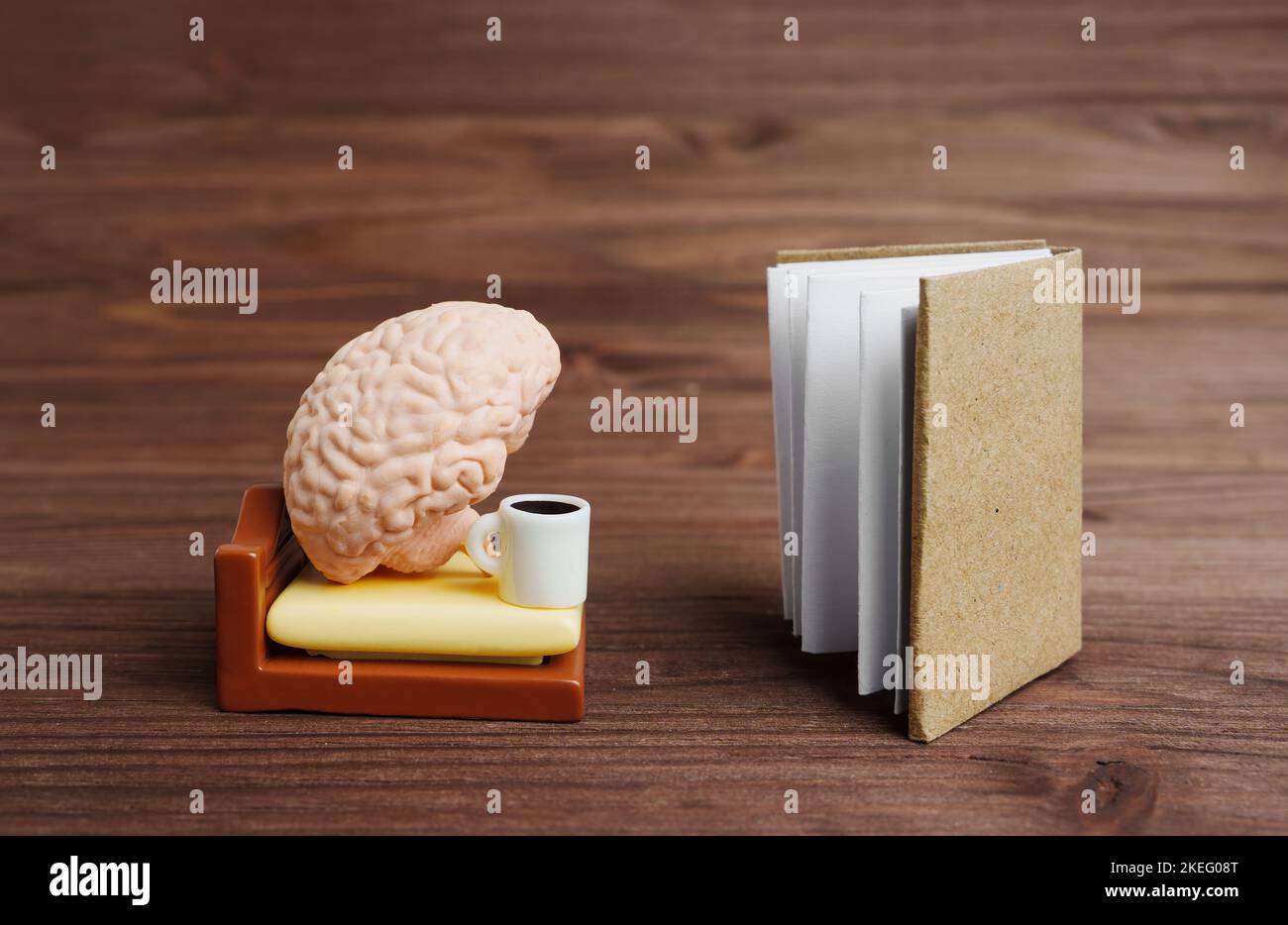 Human brain figurine drinks coffee and reads a book lying in bed on a ...
