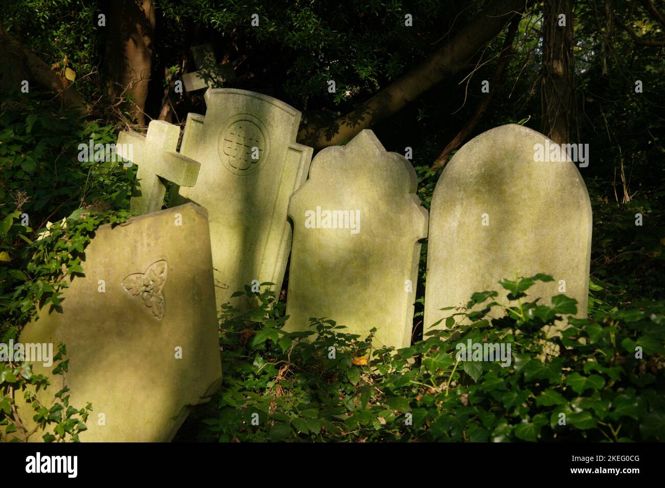 Old blank graveyard tombstones in a cemetary, stock photo image with ...