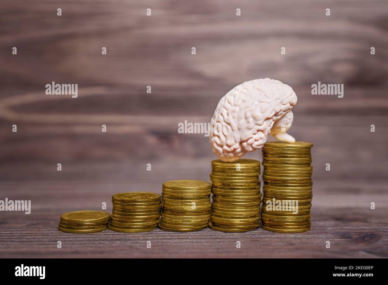 Anatomical copy of a human brain placed on coins stacks against a ...