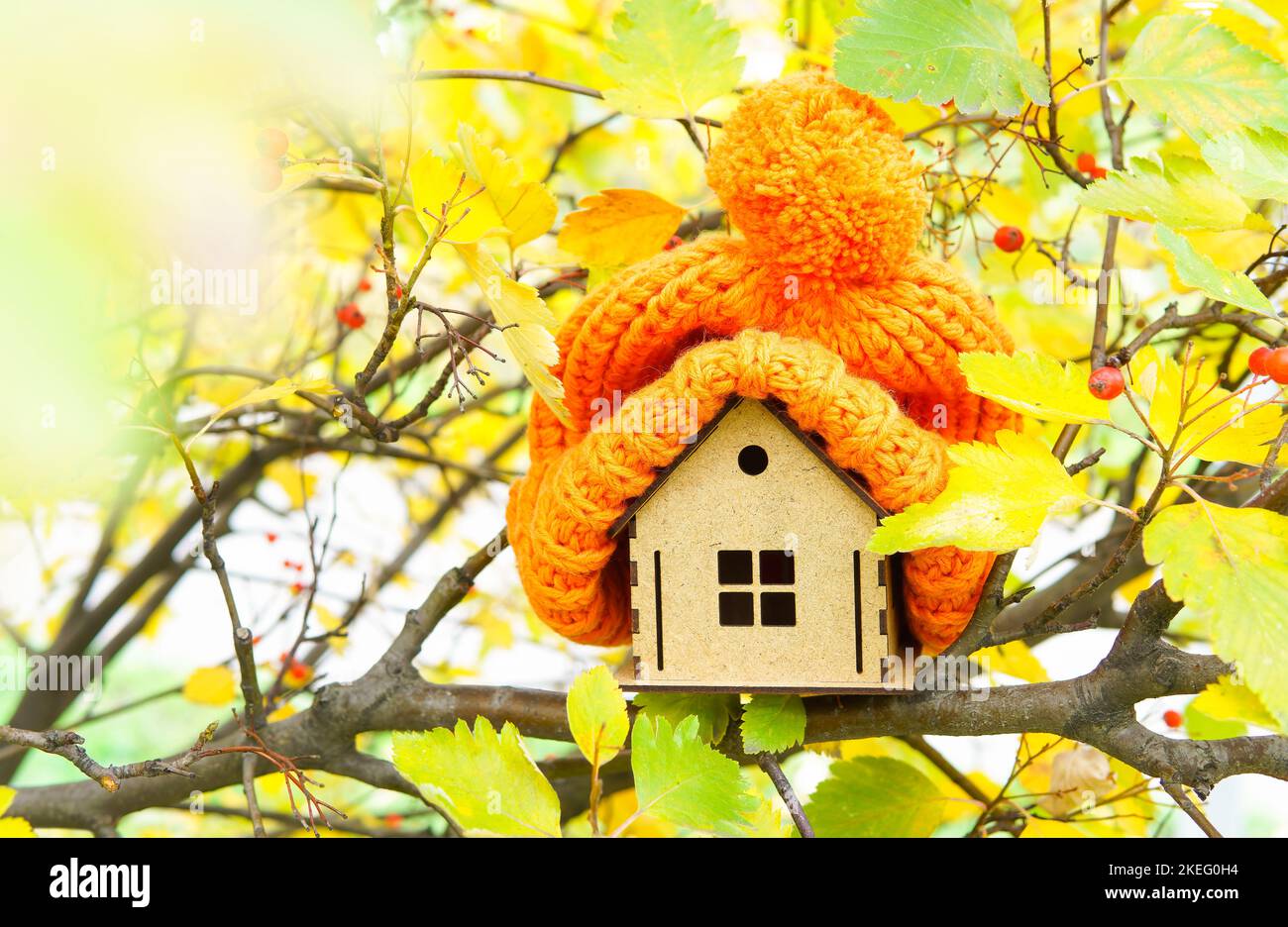 Small house model with chunky knitted hat on top placed on a fall rowan ...