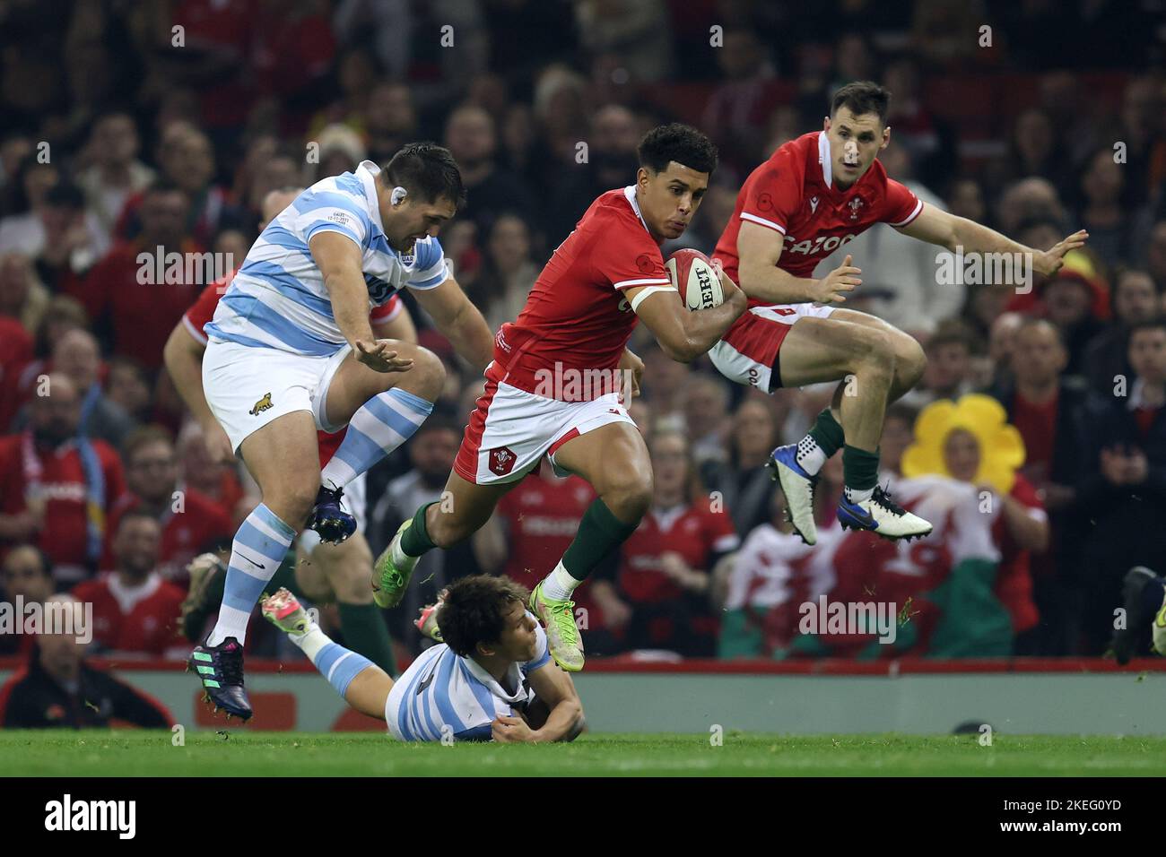 Cardiff, UK. 12th Nov, 2022. Rio Dyer of Wales makes a break. Autumn ...