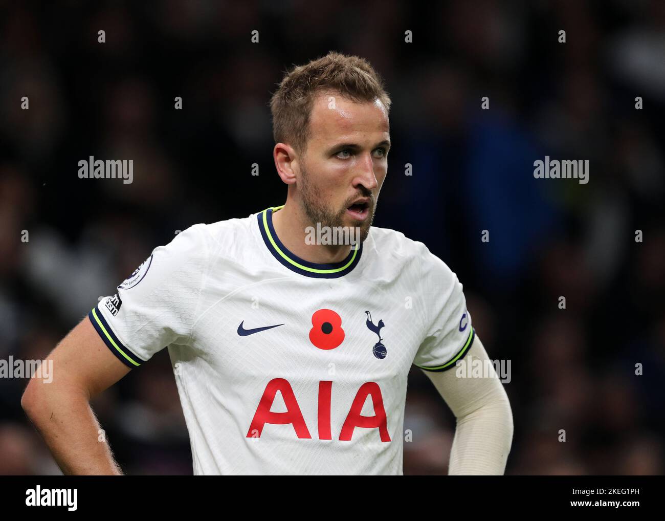 Tottenham Stadium, London England. 12th Nov, 2022. Premiership Football ...