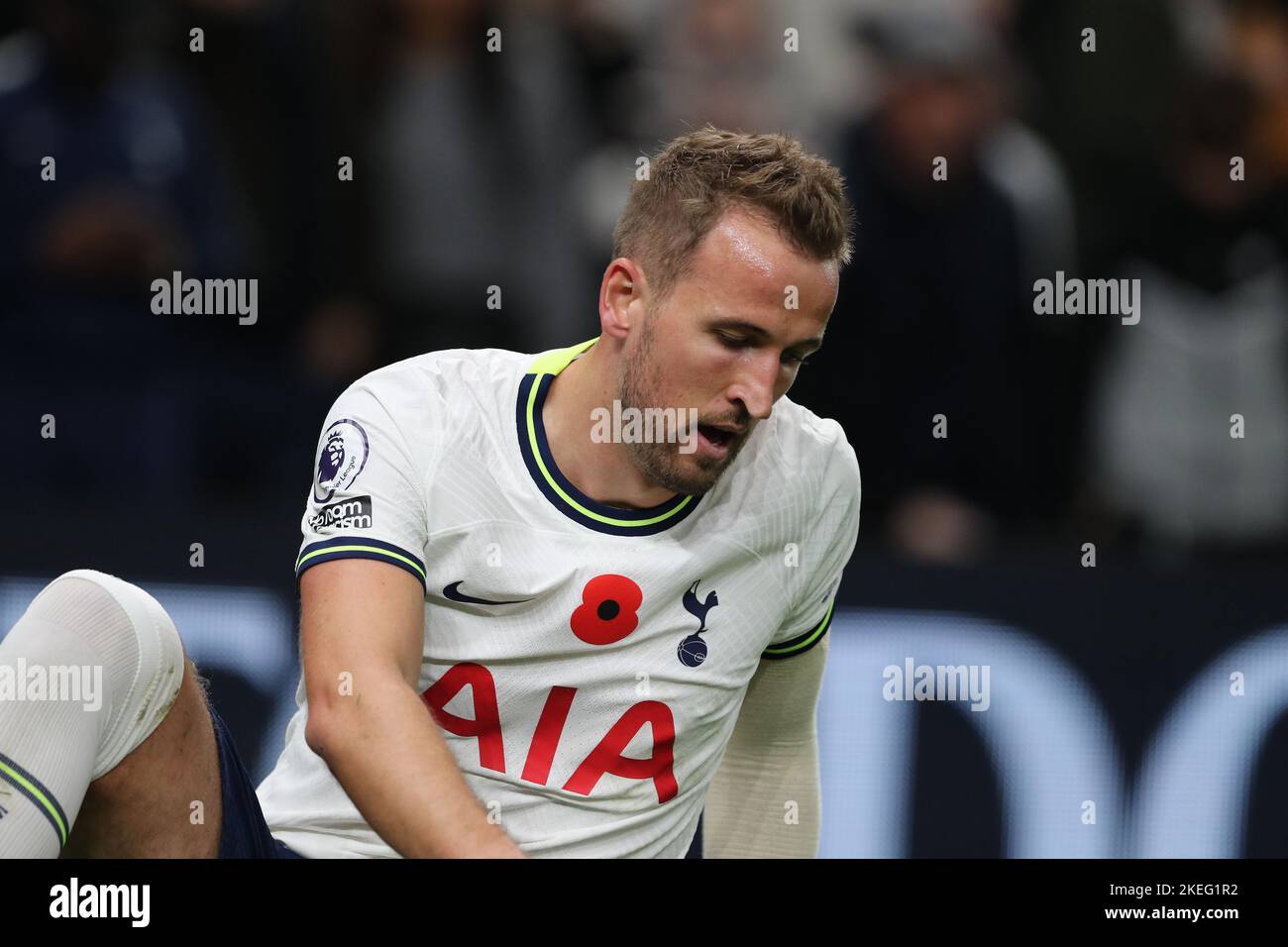 Tottenham Stadium, London England. 12th Nov, 2022. Premiership Football ...