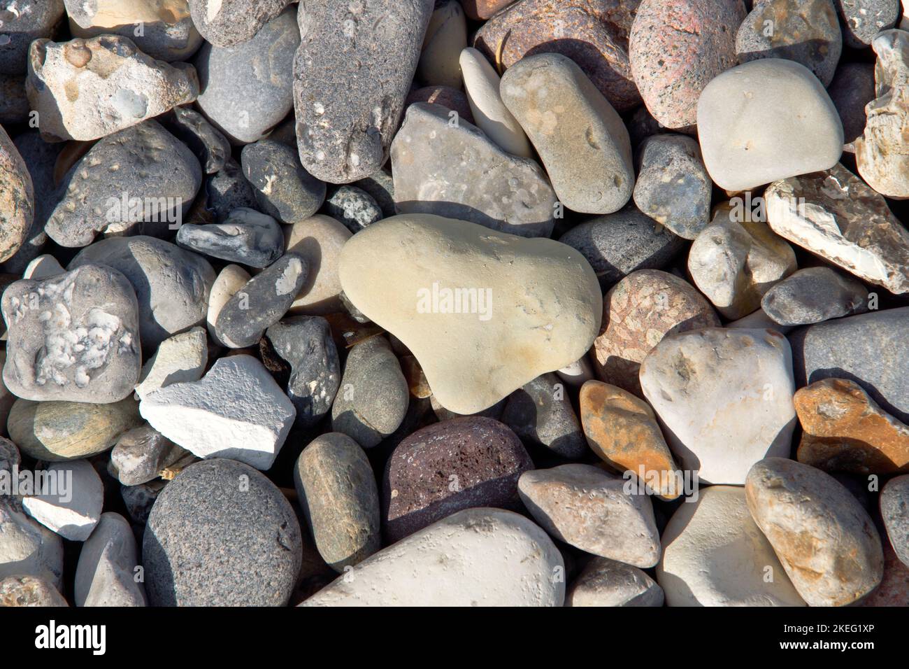 A closeup of beach pebbles under the sunlight Stock Photo - Alamy