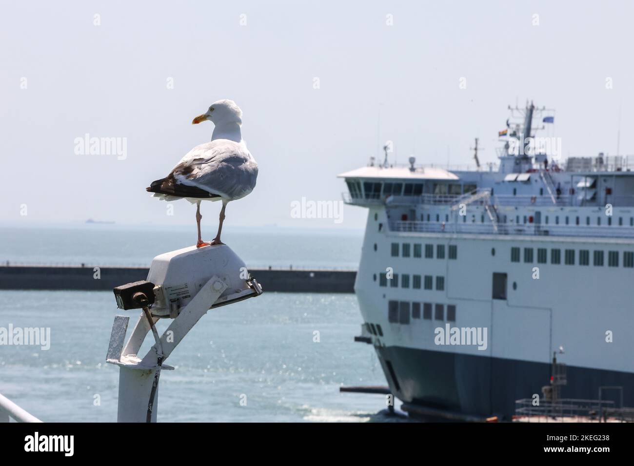 Dfds ferries hi-res stock photography and images - Alamy