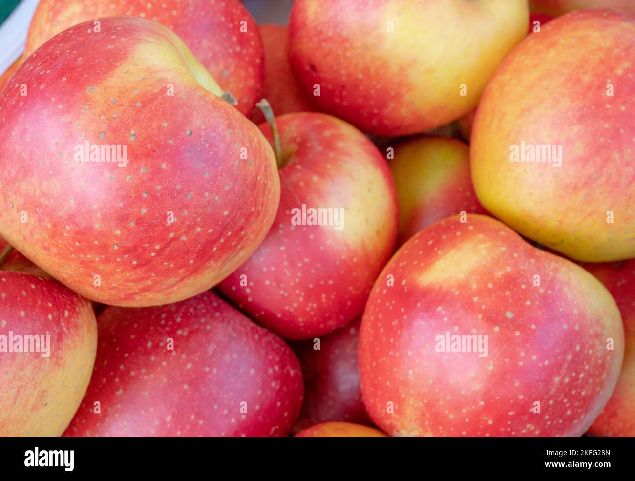 A box of beautiful apples Stock Photo - Alamy