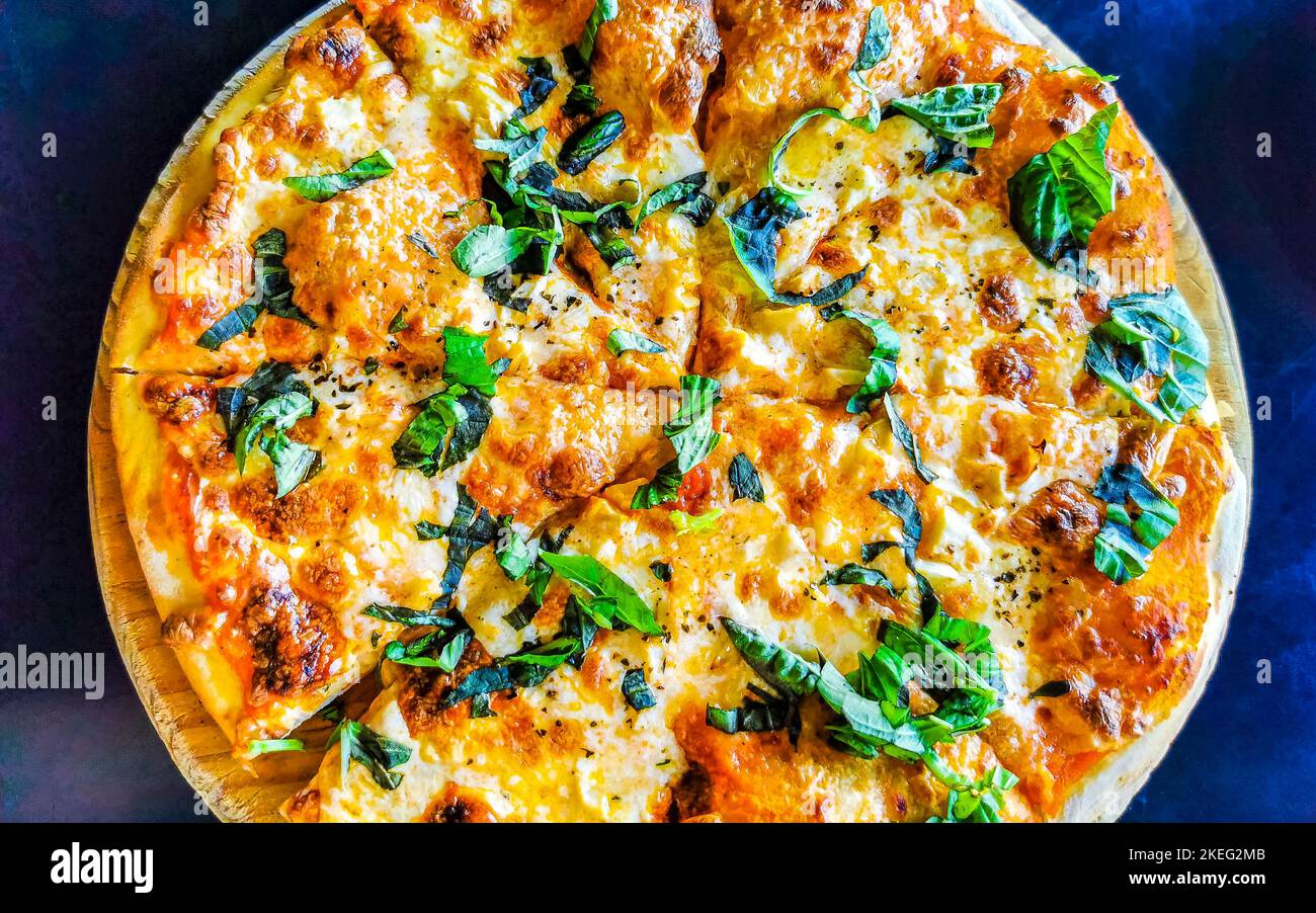 Italian garlic pizza with basil herbs and tomato sauce in Zicatela ...