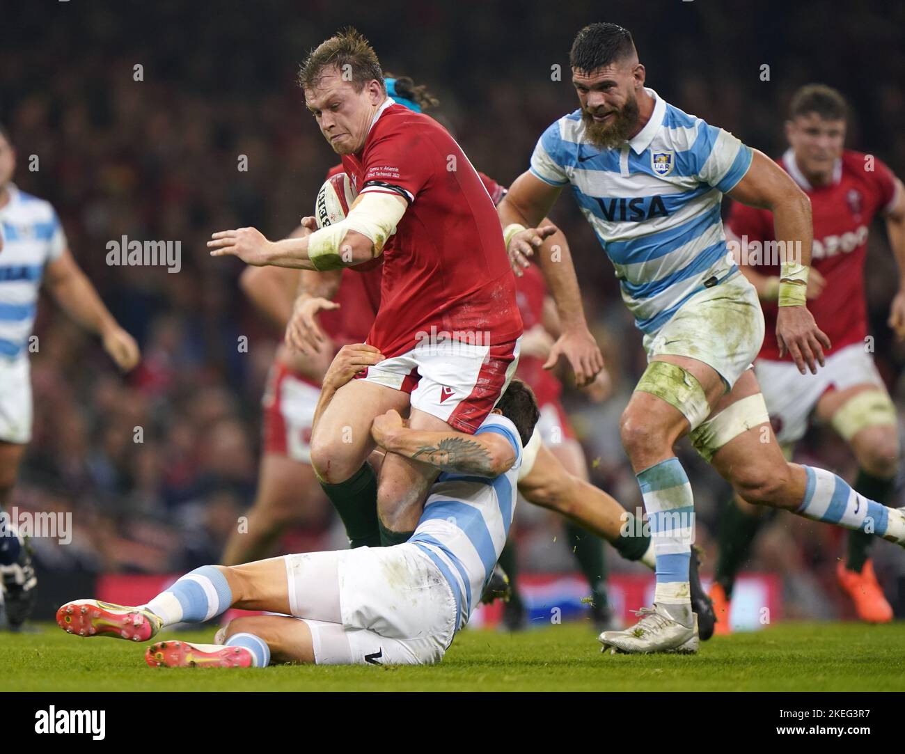 Nick tompkins wales 2022 hi-res stock photography and images - Alamy