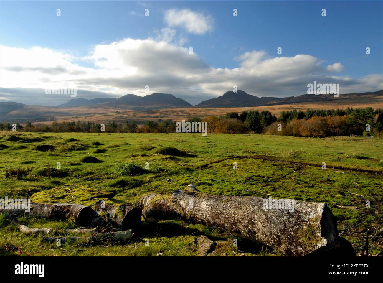 The Rhinogs (Rhinogydd) from Bronaber, Snowdonia Stock Photo - Alamy