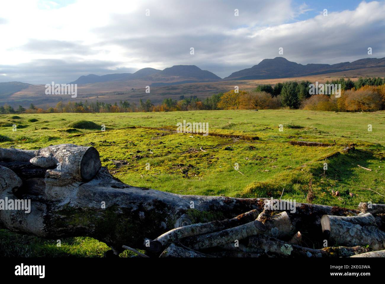 The Rhinogs (Rhinogydd) from Bronaber, Snowdonia Stock Photo - Alamy