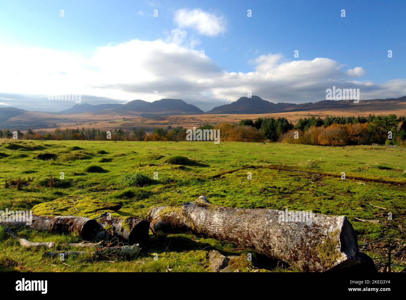 The Rhinogs (Rhinogydd) from Bronaber, Snowdonia Stock Photo - Alamy