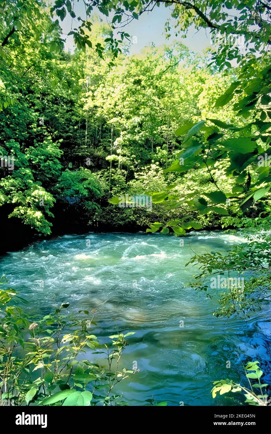 Greer Spring is the second largest spring in the Ozarks, with an ...