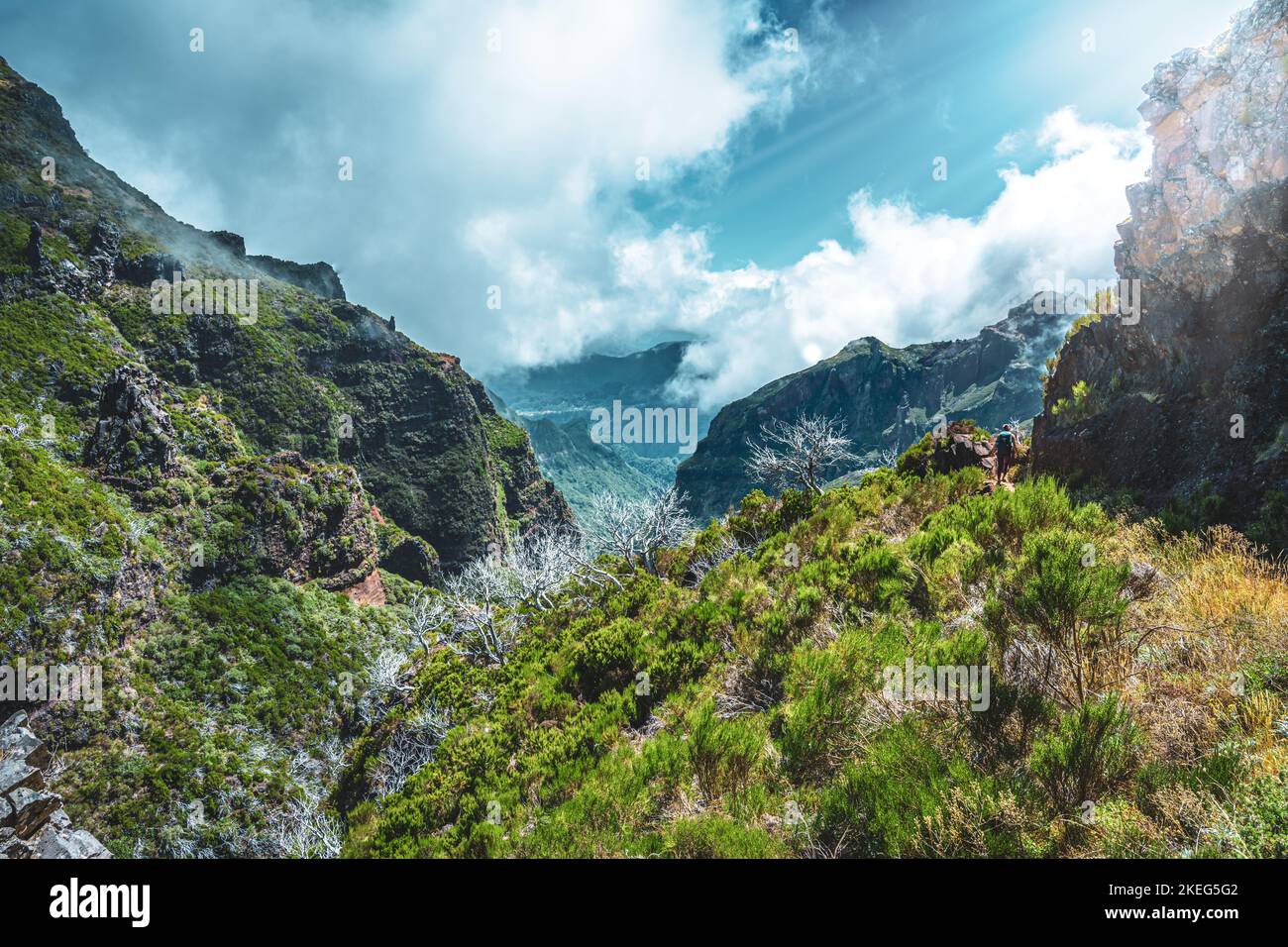 Description: Hiker with backpack walking through a scenic forest of ...