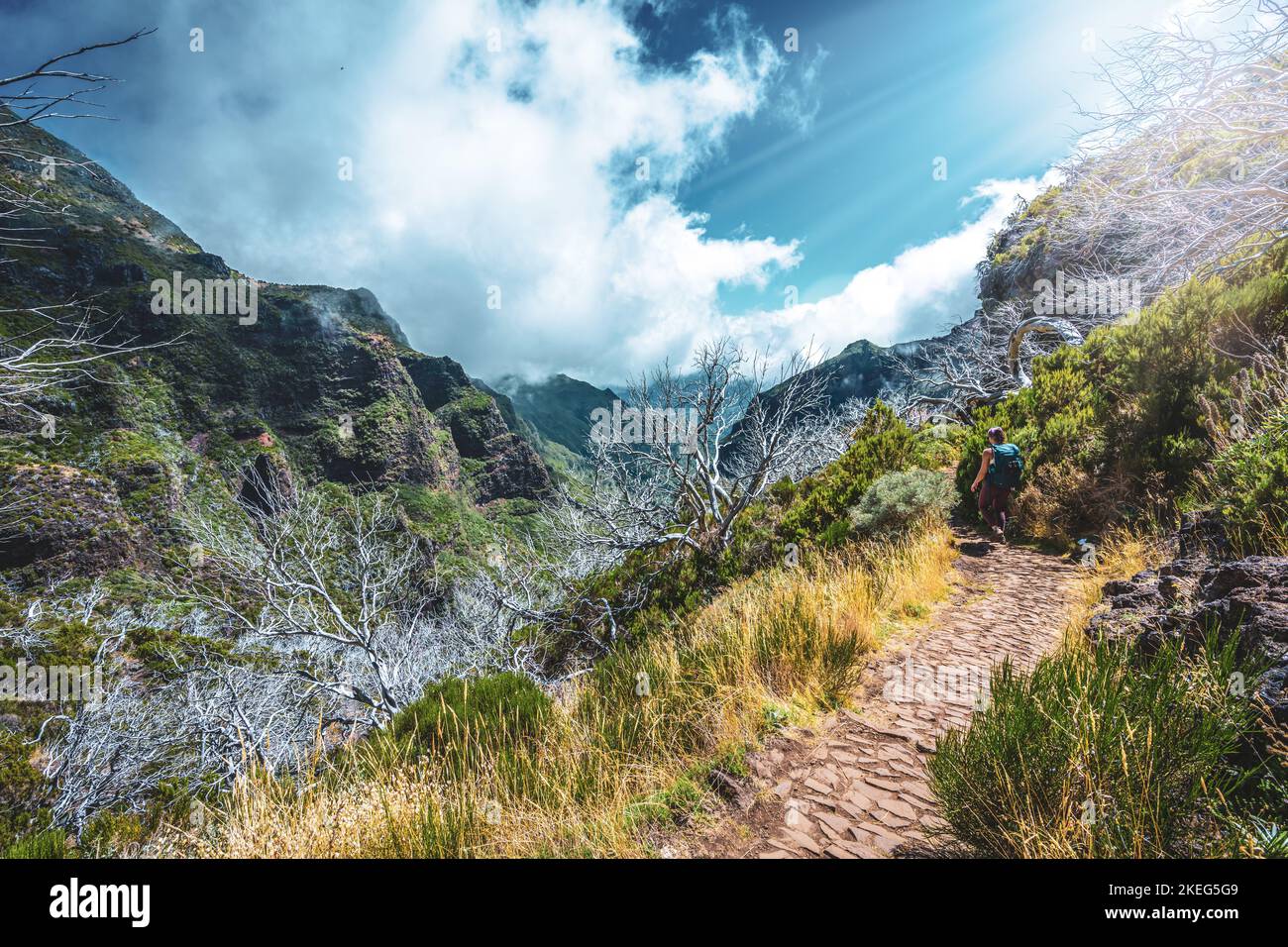 Description: Hiker with backpack walking through a scenic forest of ...