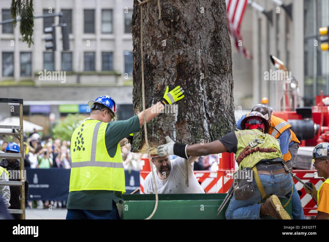New York, United States. 12th Nov, 2022. Workers maneuver the 82-foot ...