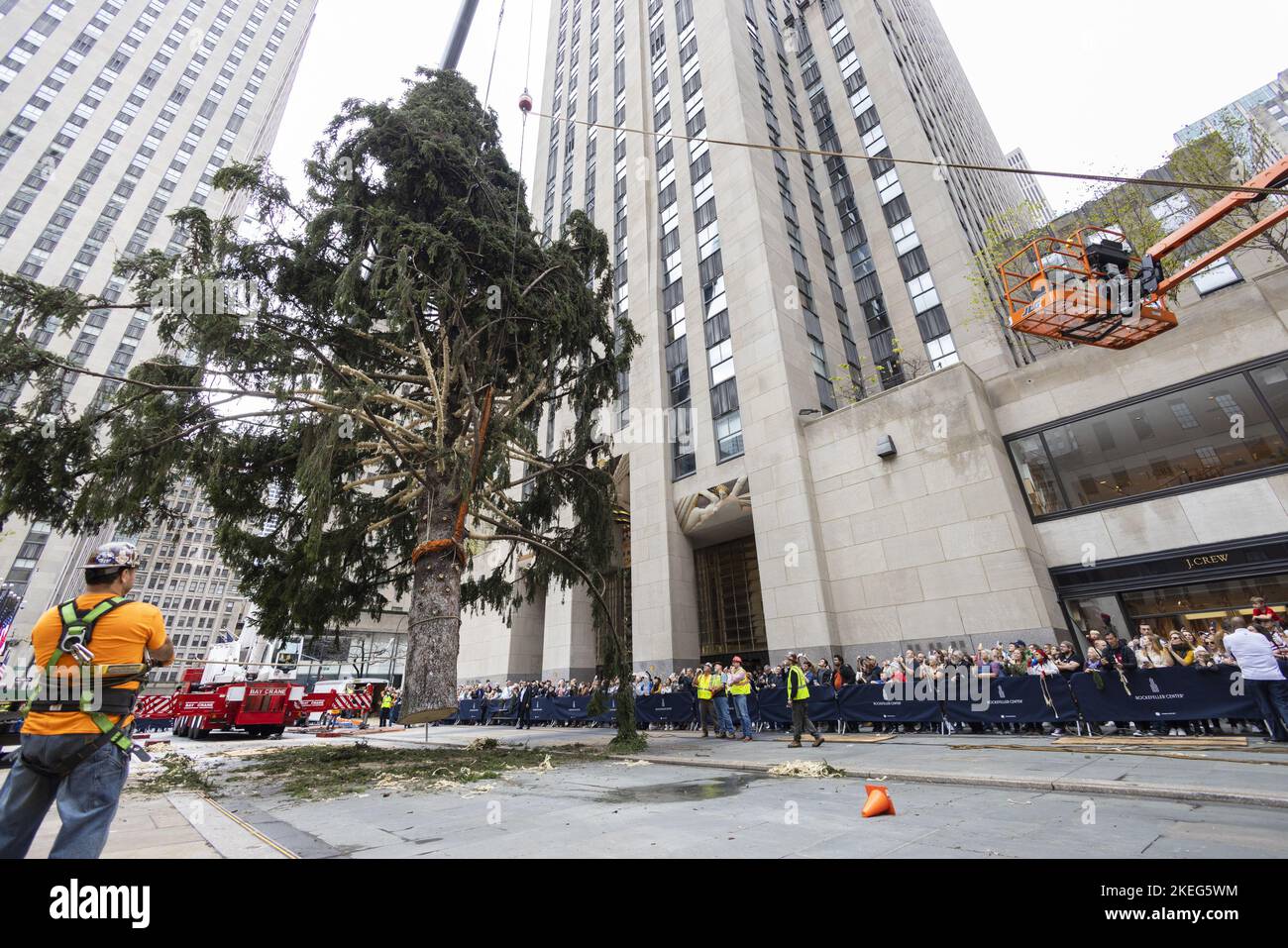 Crane lifts tree hi-res stock photography and images - Alamy
