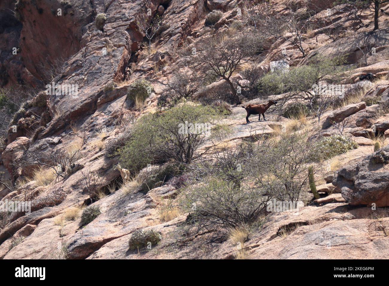 Cafayate bodega hi-res stock photography and images - Alamy