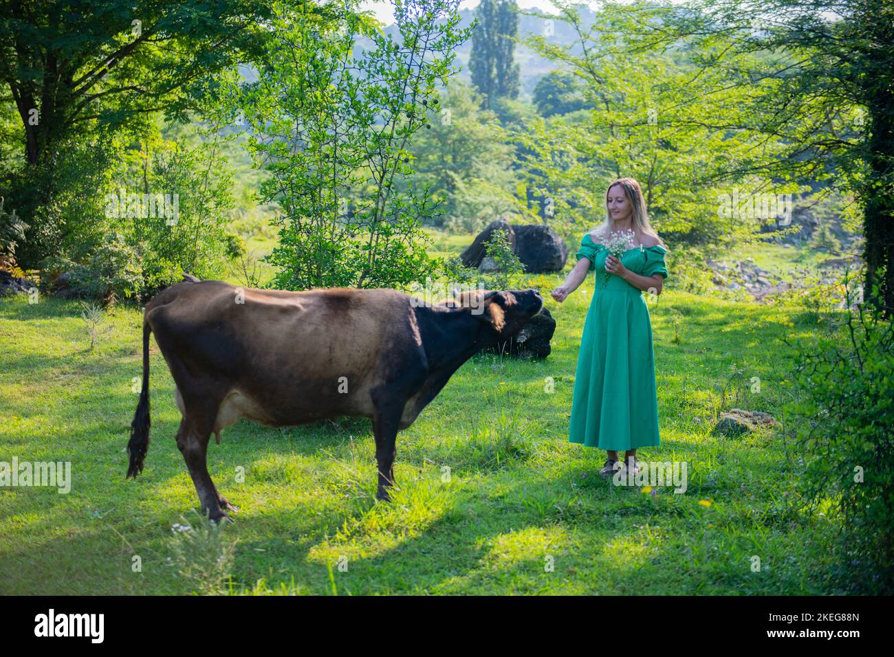 Cow and girl in country landscape hi-res stock photography and images ...