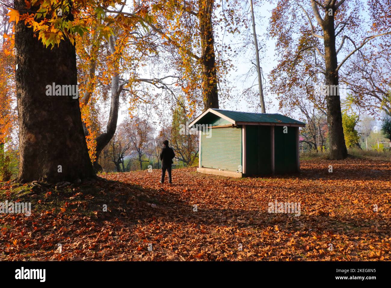 November 12, 2022, Srinagar, Jammu and Kashmir, India: A Kashmiri man ...