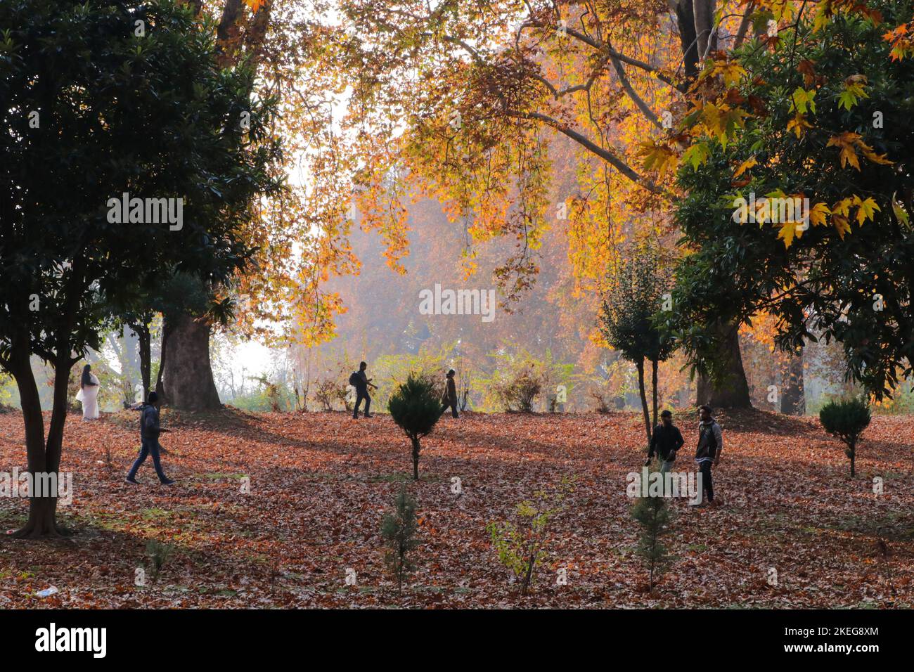 November 12, 2022, Srinagar, Jammu and Kashmir, India: Visitors take ...