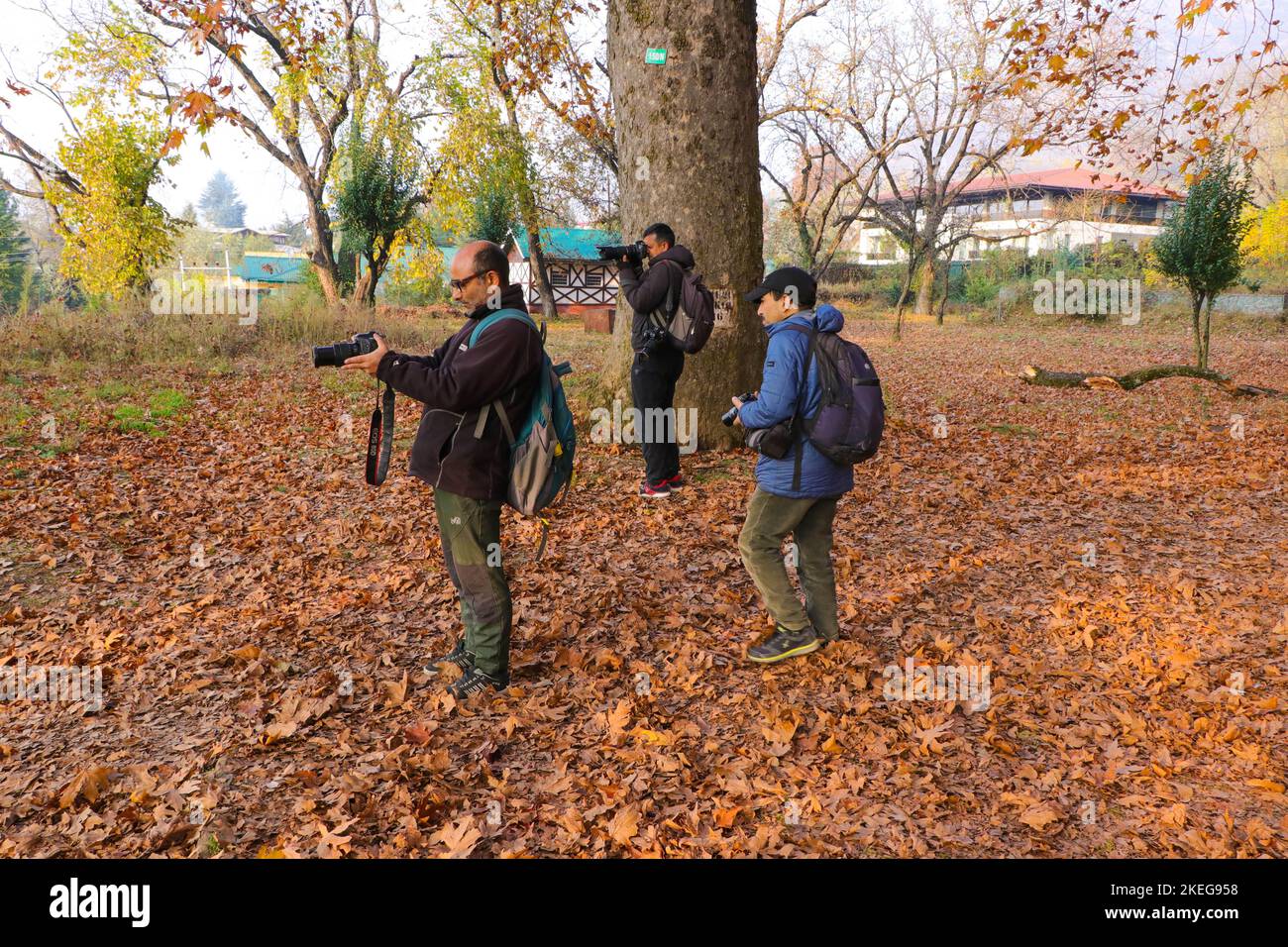 November 12, 2022, Srinagar, Jammu and Kashmir, India: Photographers ...
