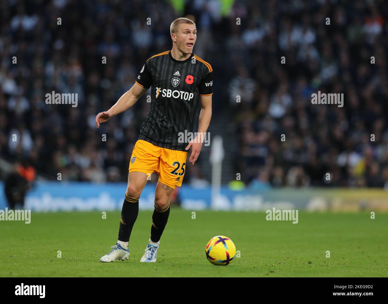 Soccer leeds spurs hi-res stock photography and images - Alamy