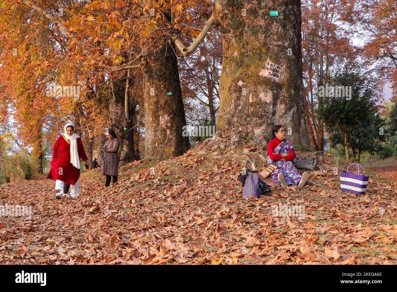 November 12, 2022, Srinagar, Jammu and Kashmir, India: People walk ...