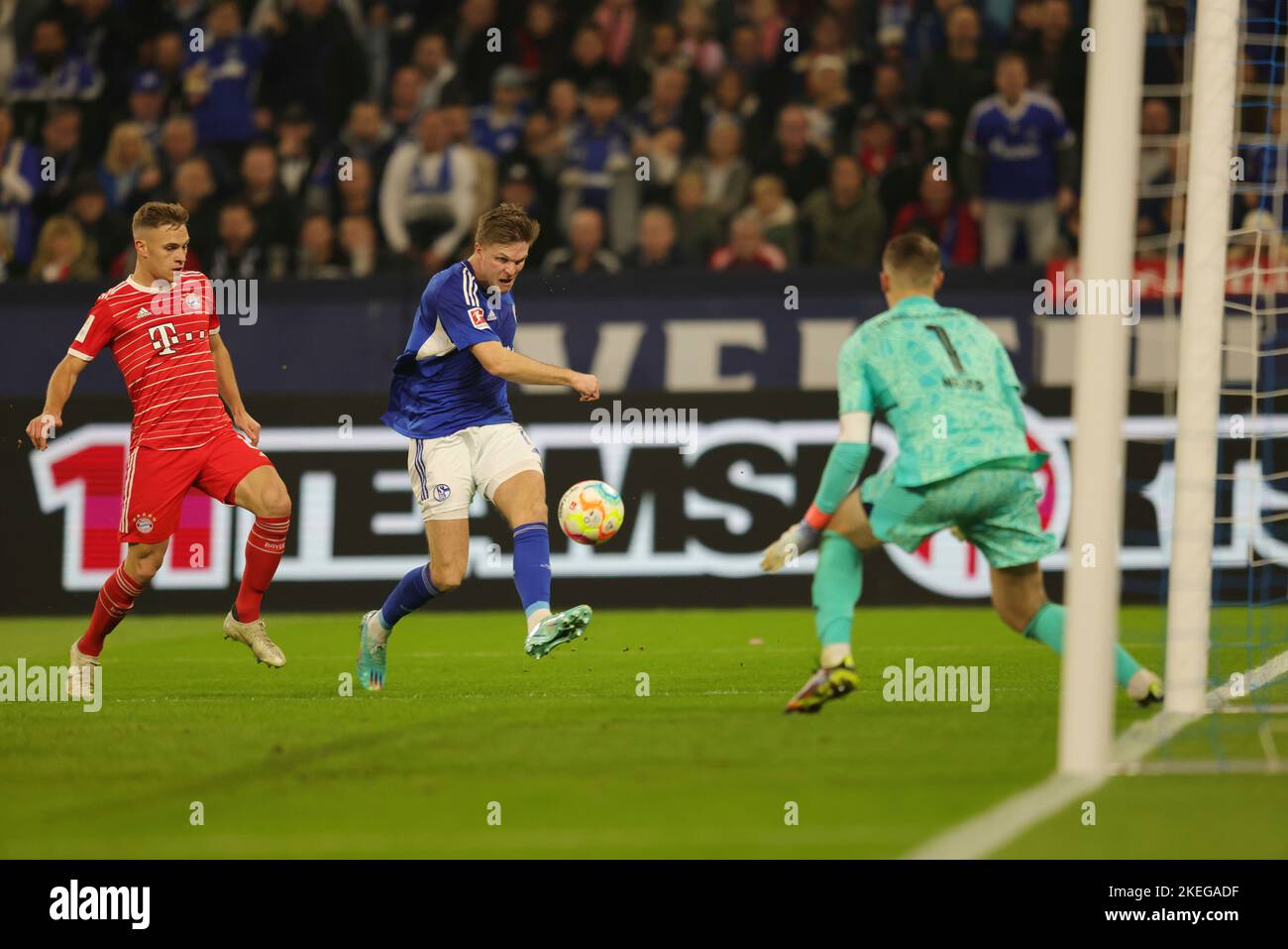 Schalke, Deutschland. 12th Nov, 2022. firo : 11/12/2022, football ...