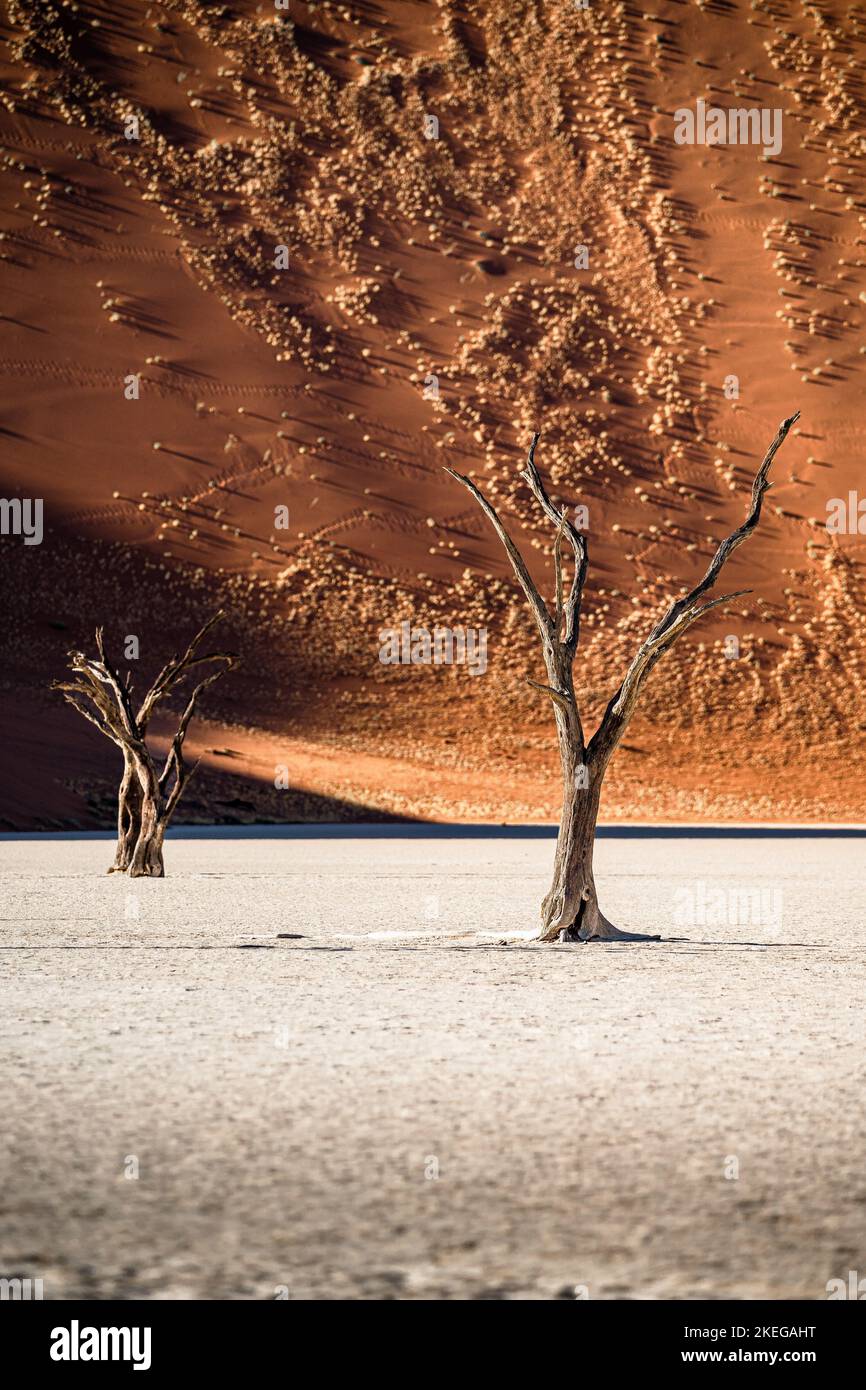 A vertical shot of Namib-Naukluft National Park in Namibia, Africa on a ...