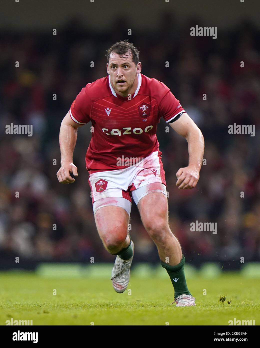 Wales v argentina autumn international principality stadium hi-res ...