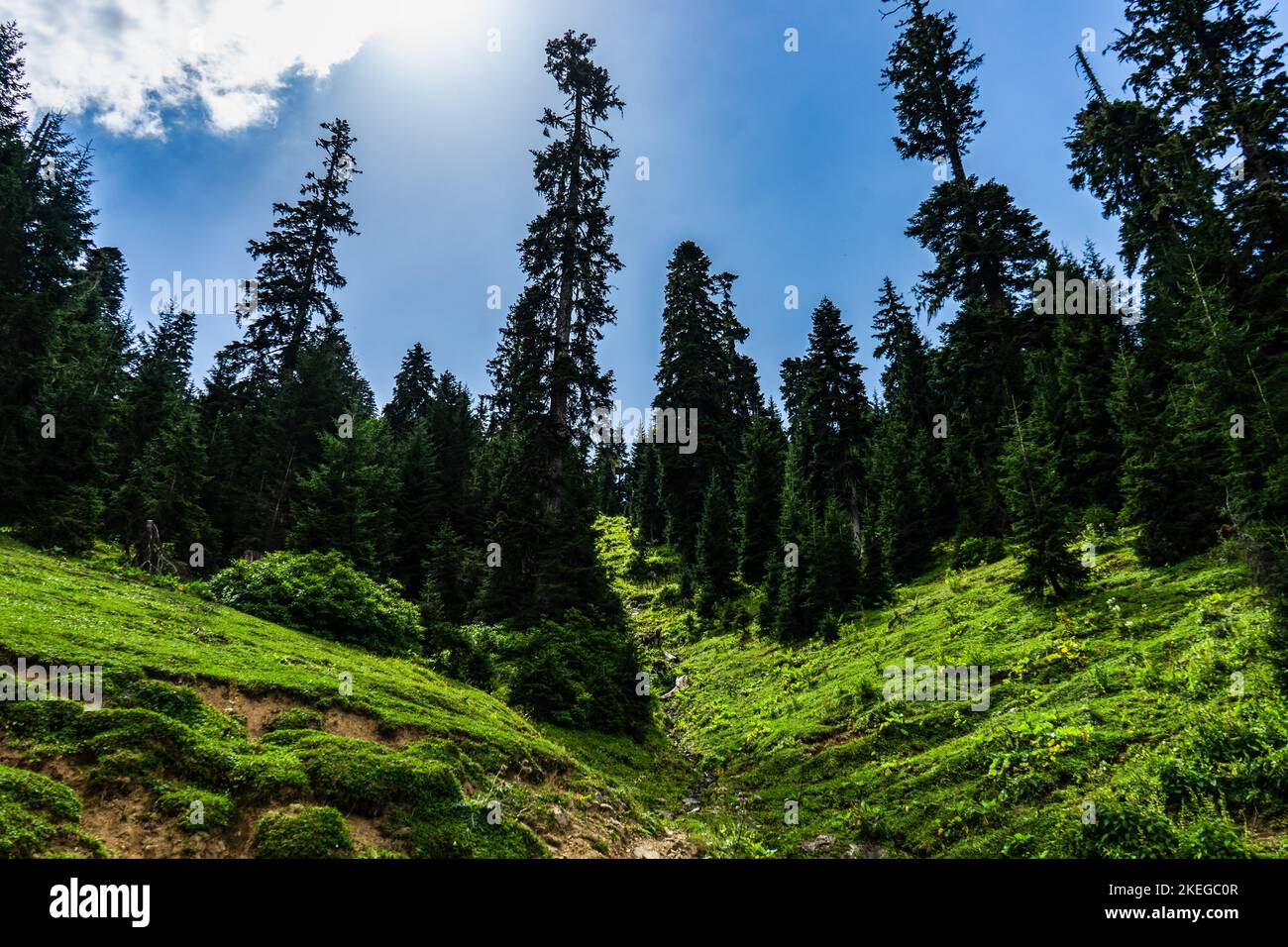 Mountain landscape in famous recreation zone of Guria region in western ...