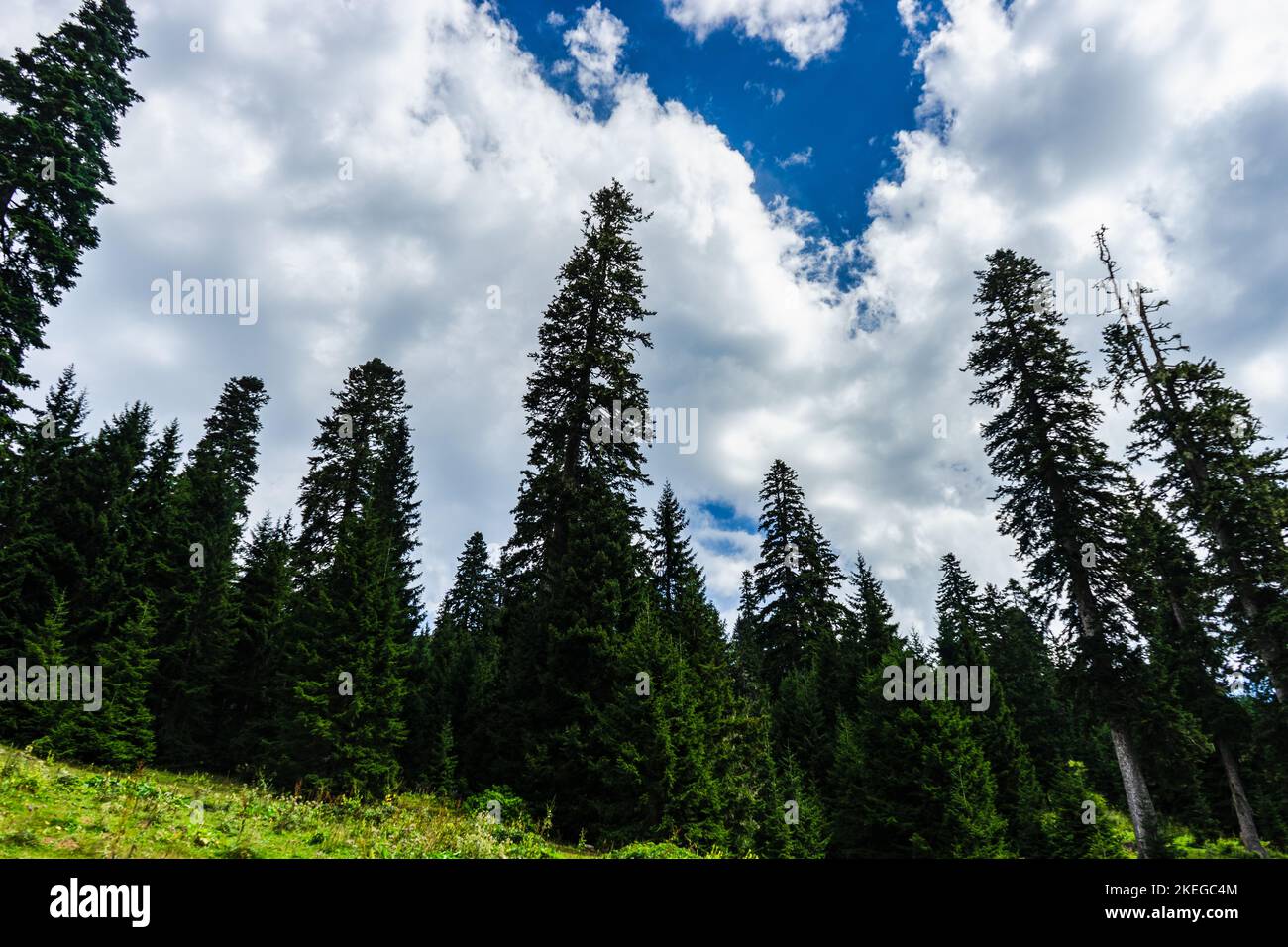 Mountain landscape in famous recreation zone of Guria region in western ...