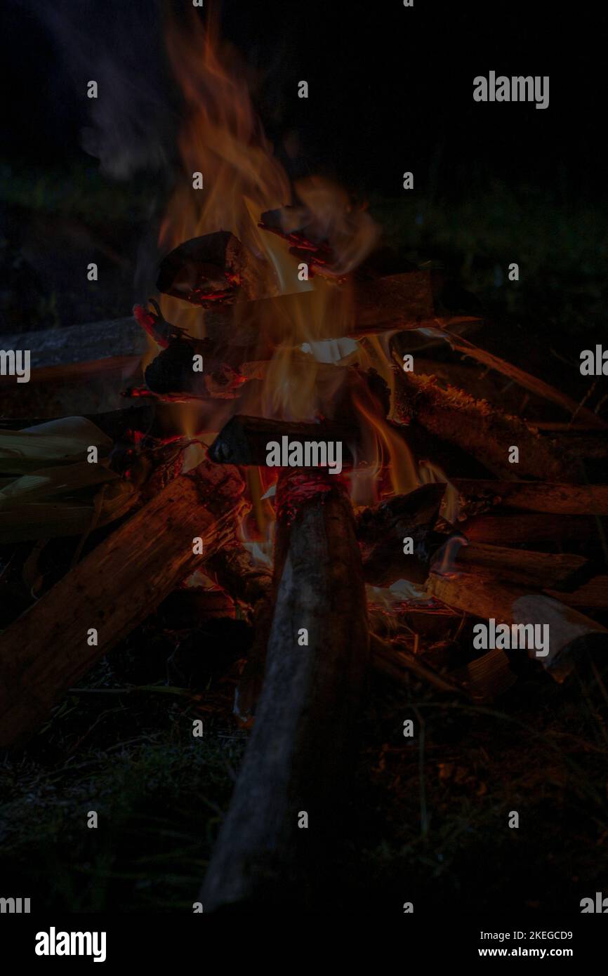 A vertical shot of the orange campfire burning beautifully outdoors ...