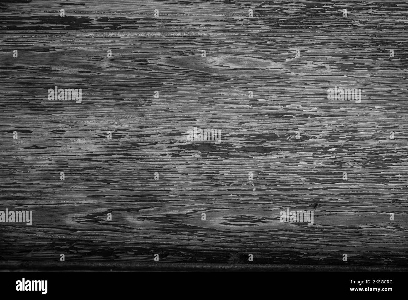 Wood texture background. Black and white distress weathered wood ...