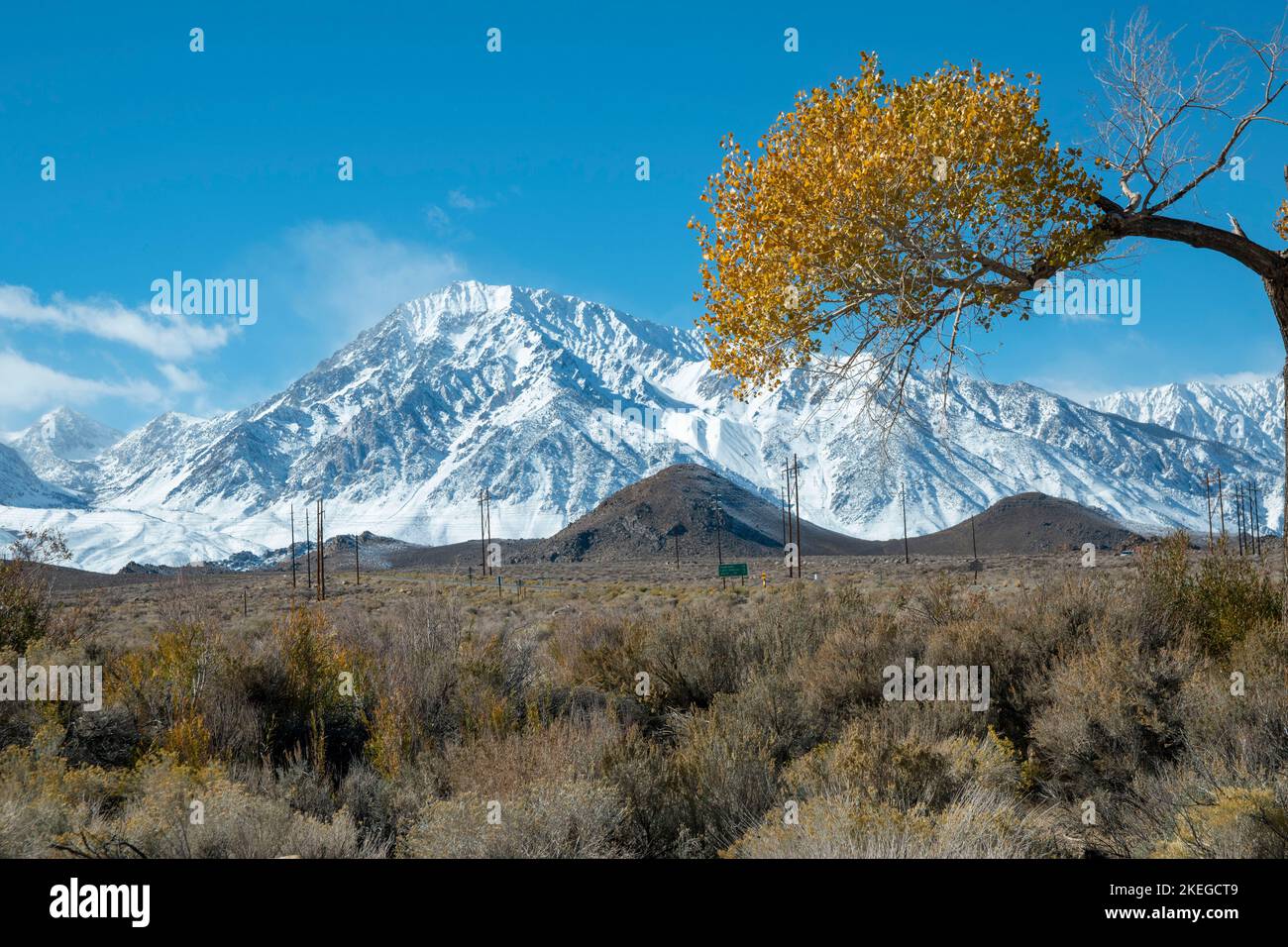 This November snowstorm coated the Eastern Sierra near Bishop, Inyo ...