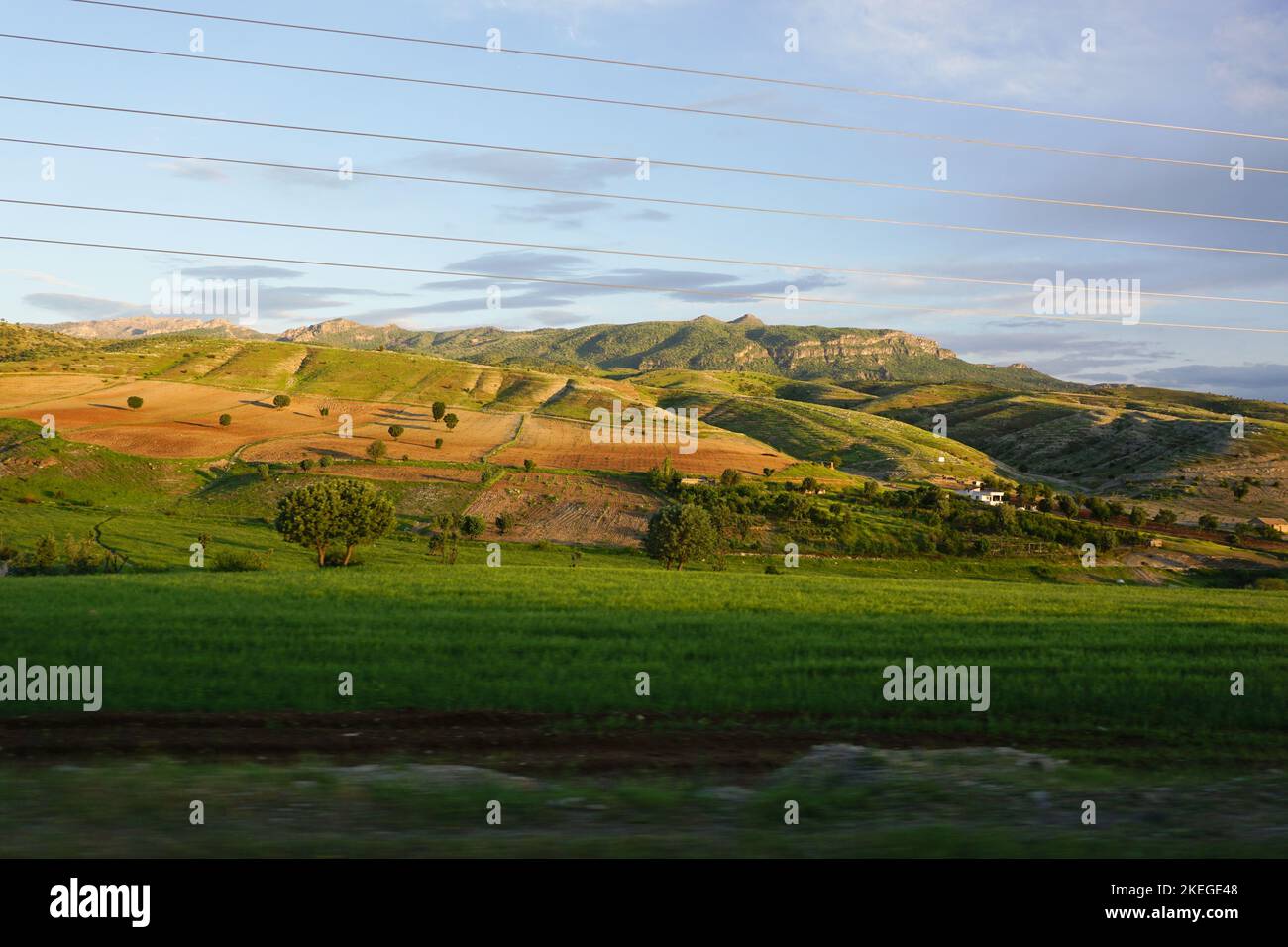 An aerial view of greenery field surrounded by trees and hills Stock ...