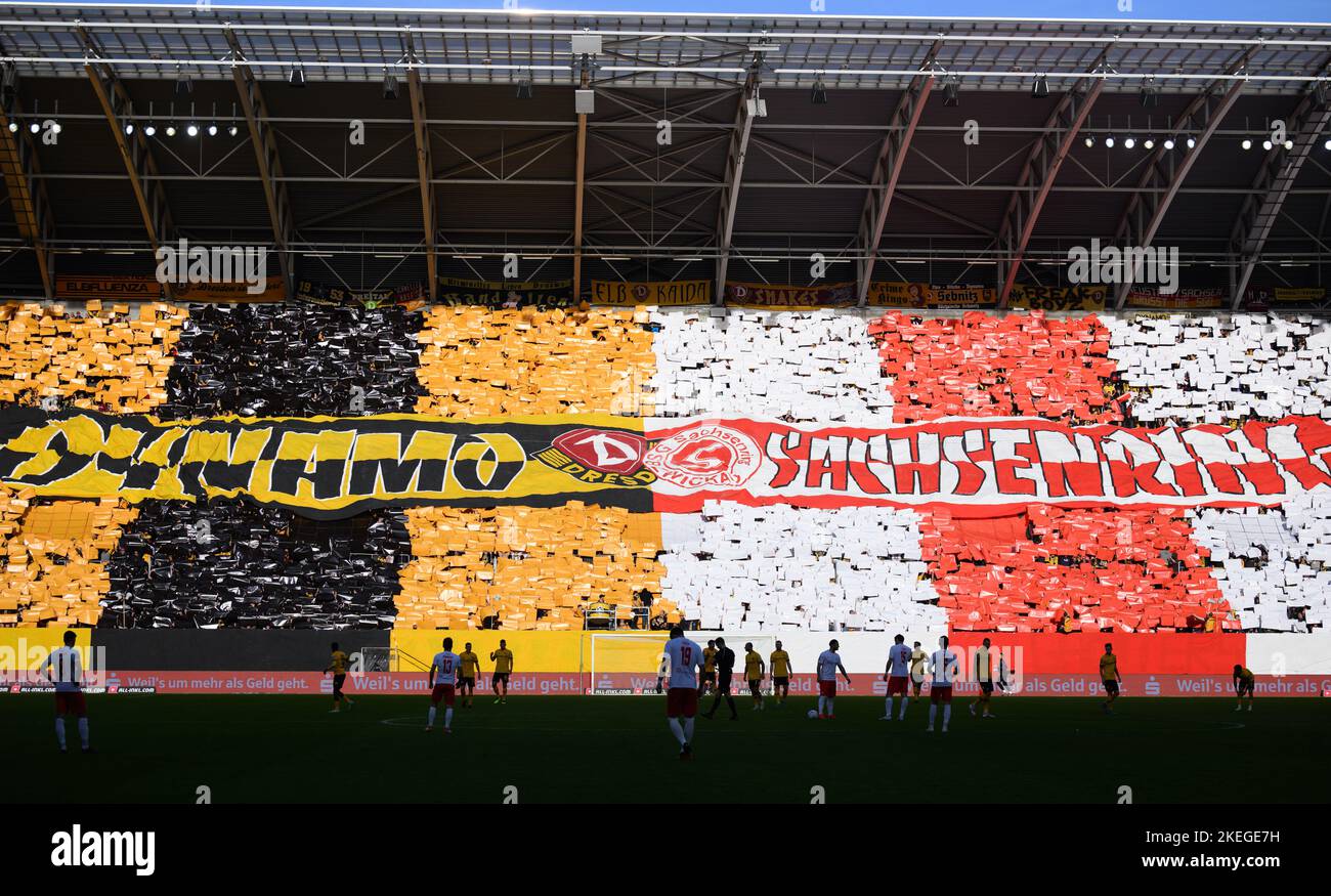 Dresden, Germany. 12th Nov, 2022. Soccer: 3rd league, SG Dynamo Dresden ...