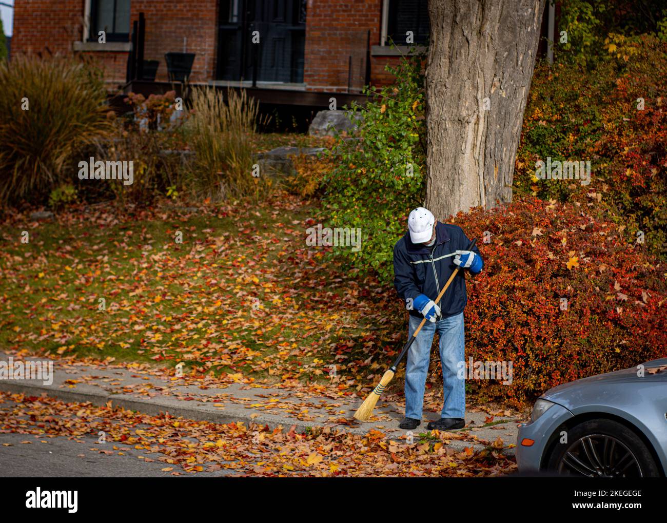 An old guy cleaning leaves during fall season Stock Photo - Alamy