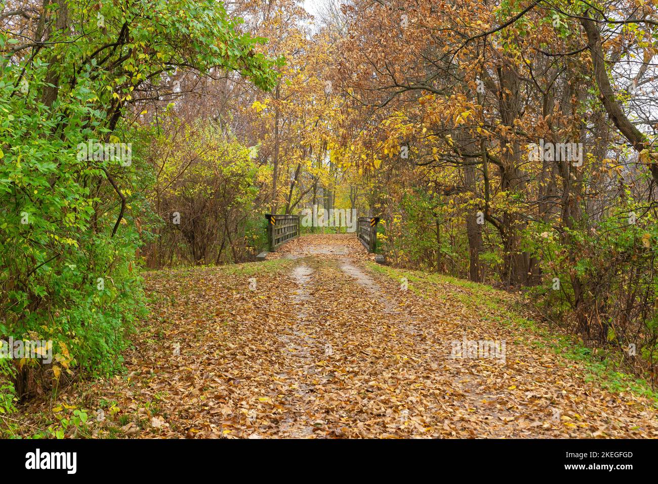 Leaf covered tow path hi-res stock photography and images - Alamy