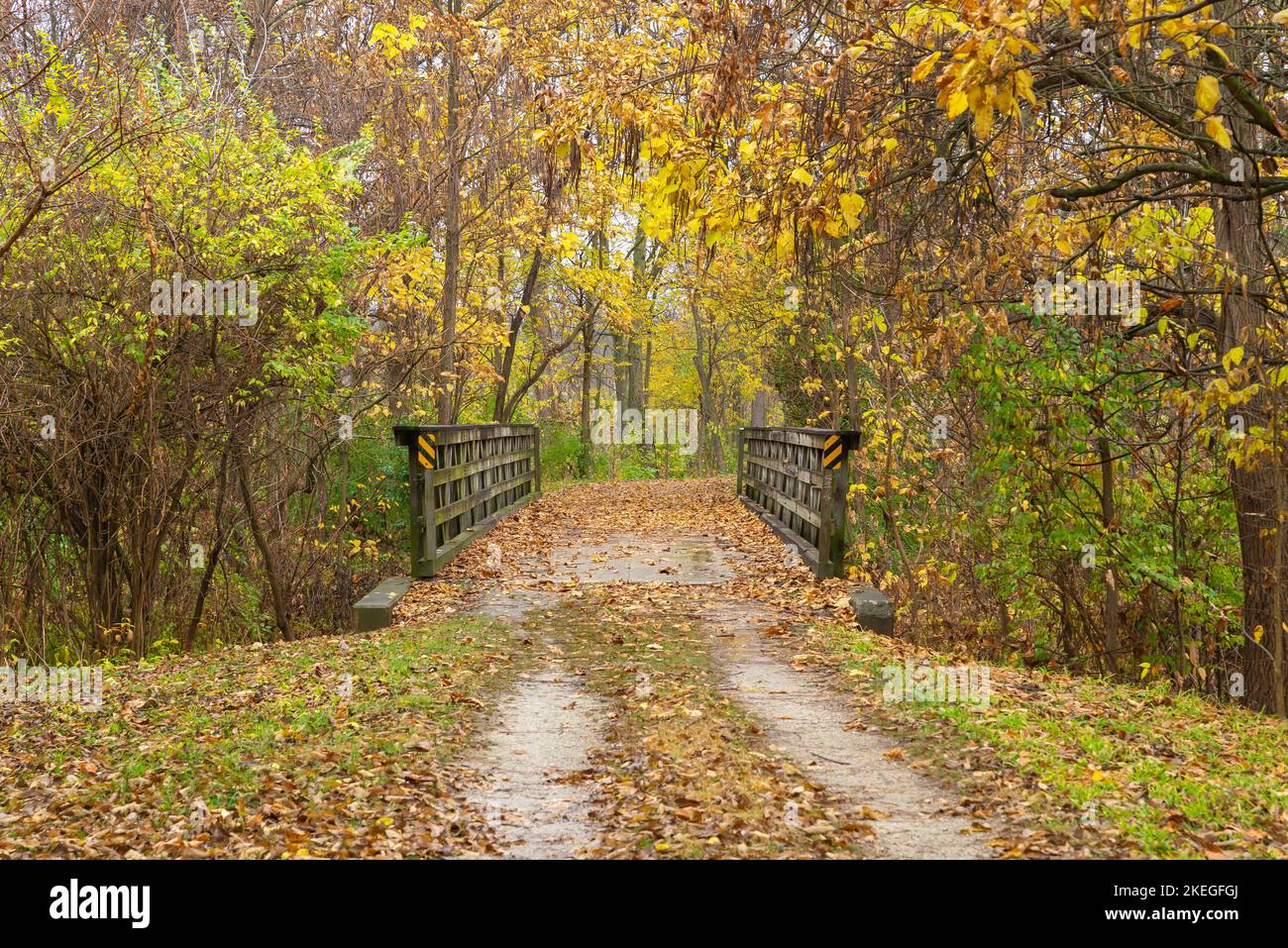 Leaf covered tow path hi-res stock photography and images - Alamy